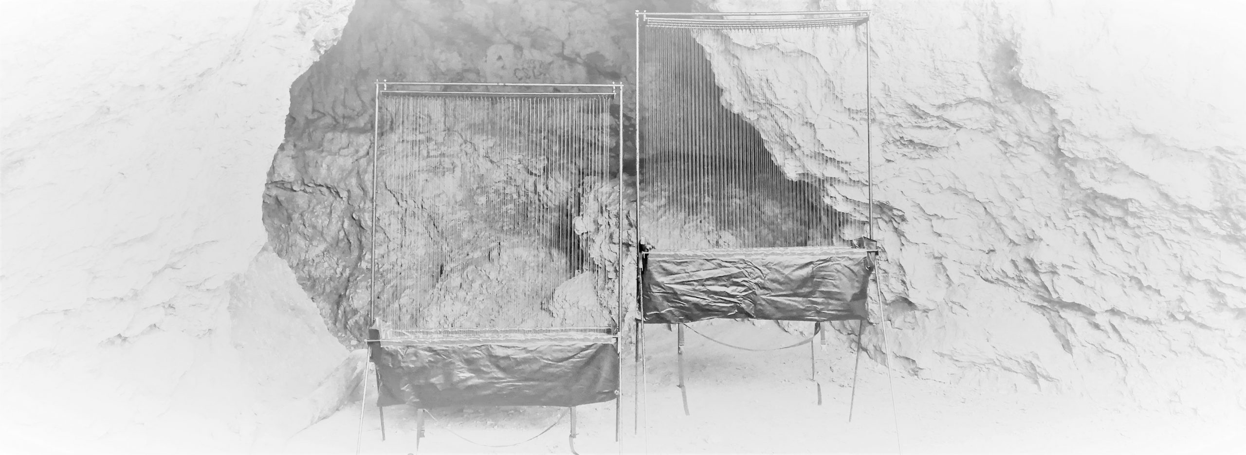 Harptrap for Bats – A new innovation in the harp traps world